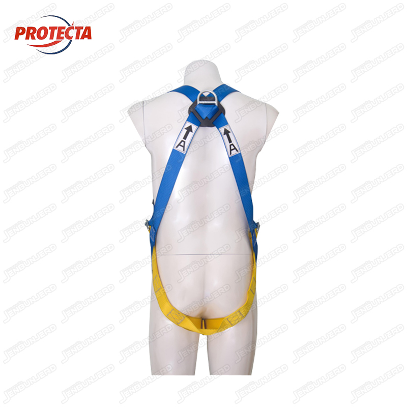 จำหน่าย เข็มขัดกันตก เข็มขัดนิรภัย เข็มขัดนิรภัยชนิดเต็มตัว D-Ring 2 ...